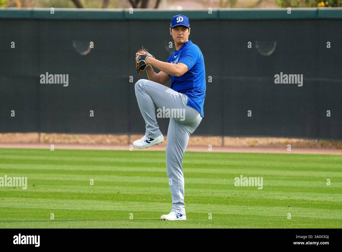 Los Angeles Dodgers' Shohei Ohtani throws during spring training ...
