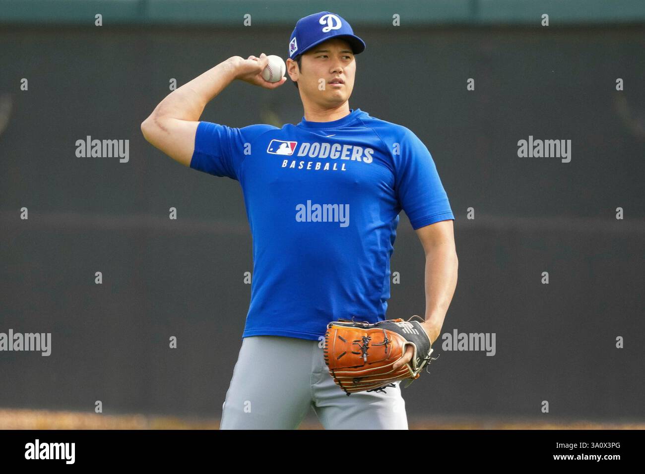 Los Angeles Dodgers' Shohei Ohtani throws during spring training ...
