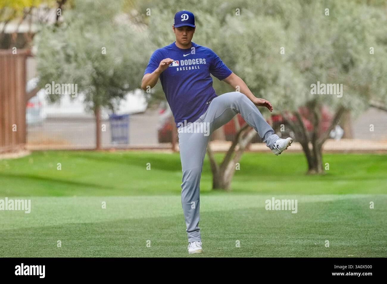 Los Angeles Dodgers' Shohei Ohtani warms up during spring training ...