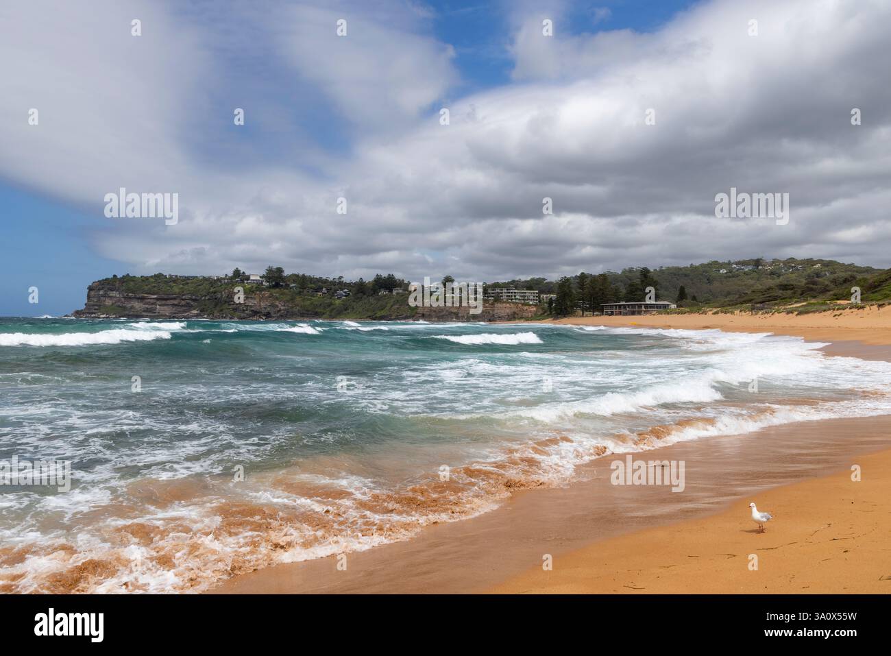 Avalon Beach, Sydney Australia, blue sky day over this Sydney northern ...