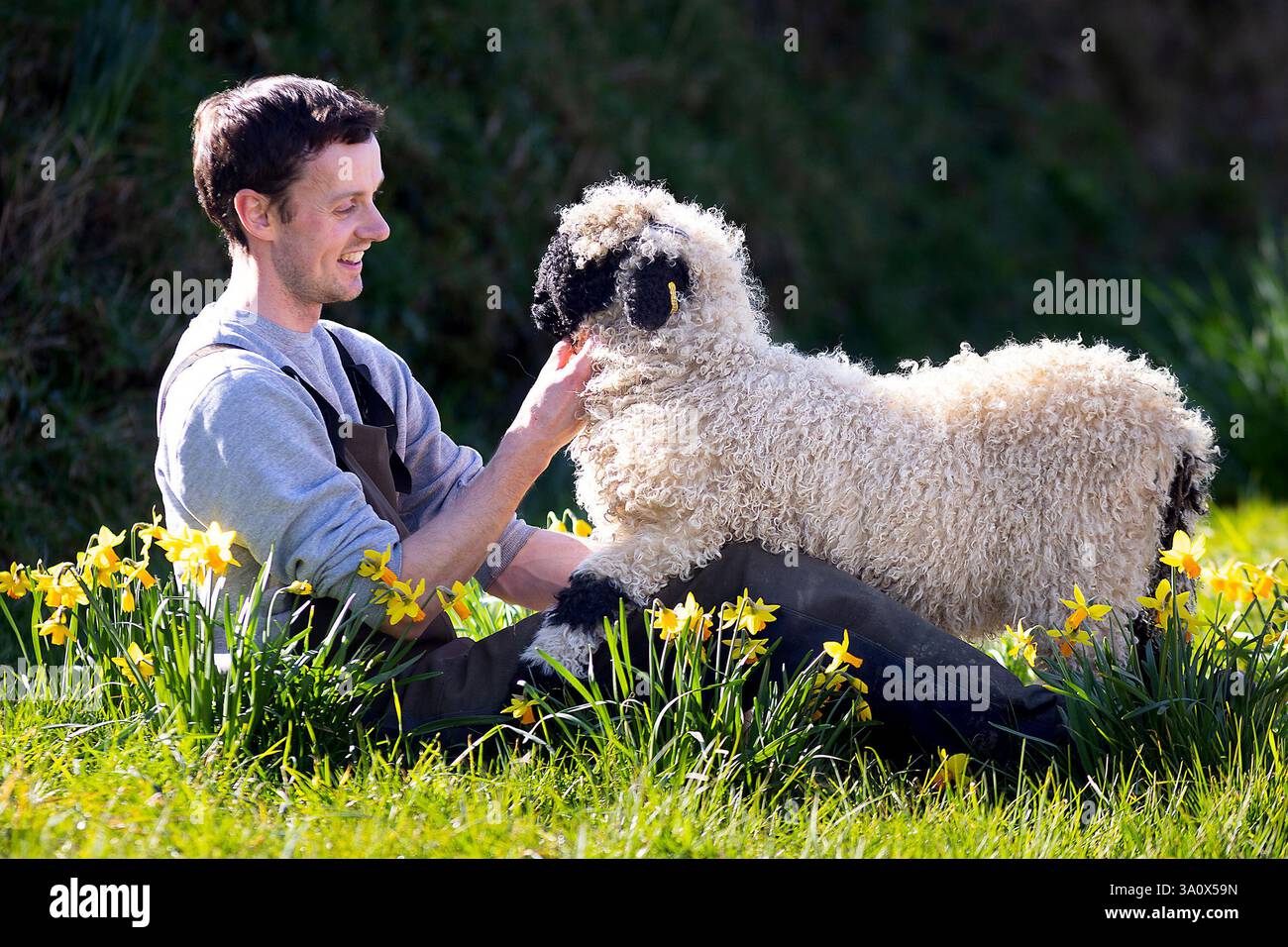 Pic by Mark Passmore. 04/03/2025. Cuteness Overload… The world’s cutest ...