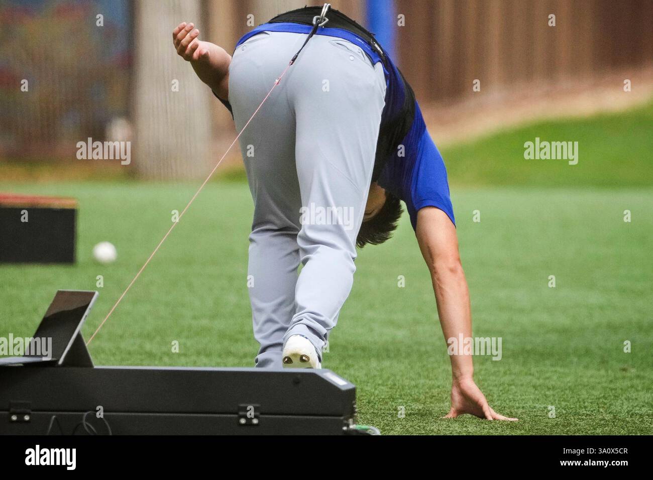 Los Angeles Dodgers' Shohei Ohtani works out during spring training ...