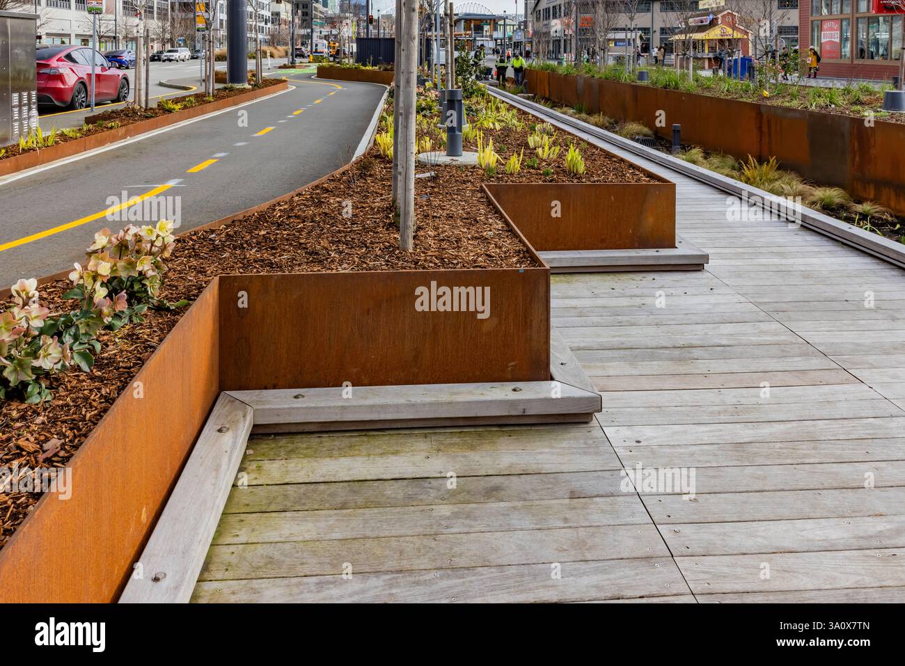 Boardwalk with garden plantings at Waterfront Park in Seattle ...