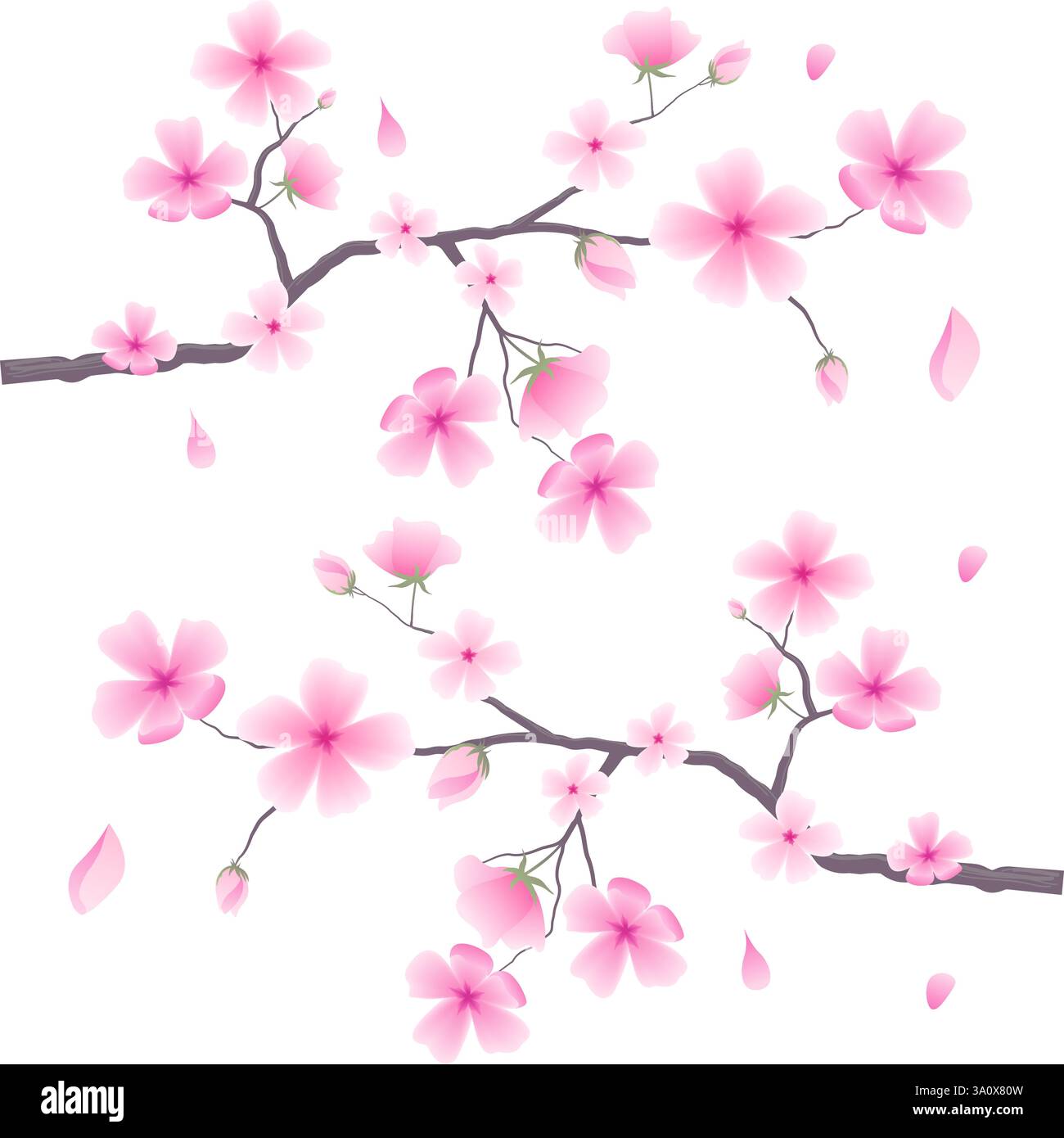 Ornamental border featuring sakura flowers. Floral art design suitable ...