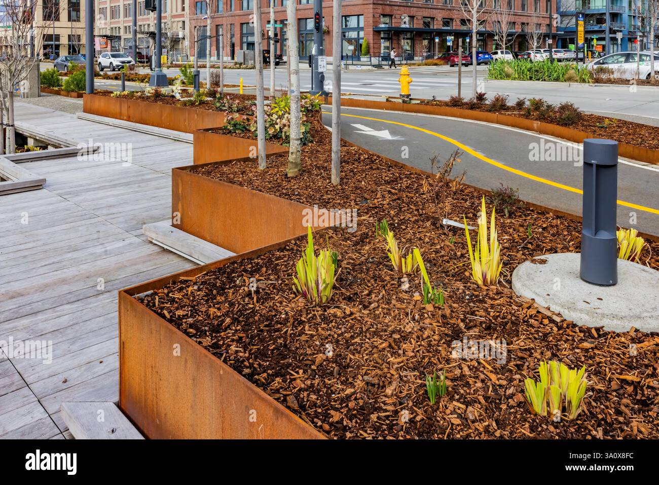 Boardwalk with garden plantings at Waterfront Park in Seattle ...