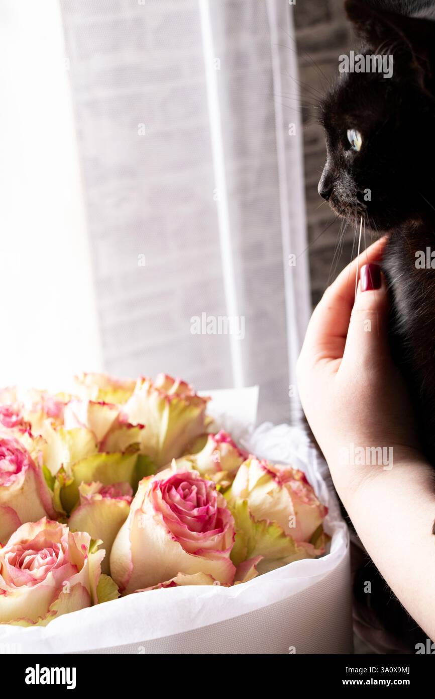 A girl with a black cat stands near a bouquet of roses near the window ...