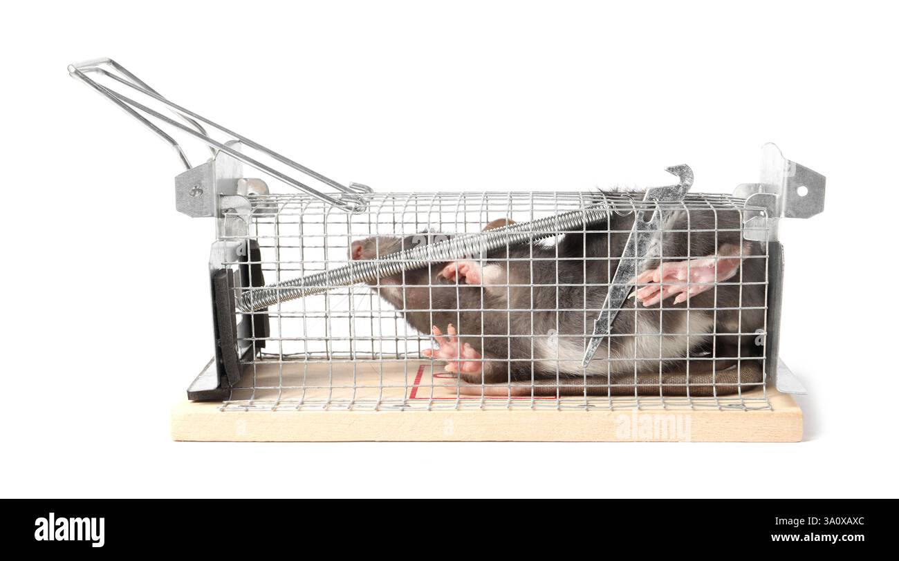 Cheat background Cut Out Stock Images & Pictures - Alamy