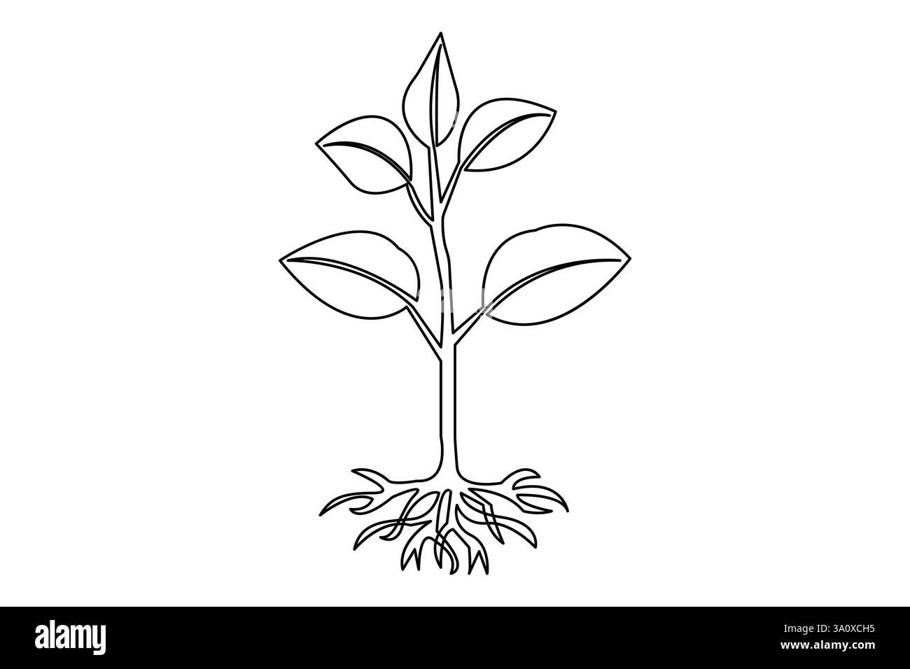 Growth plant tree drawing single line art from line vector art isolated ...