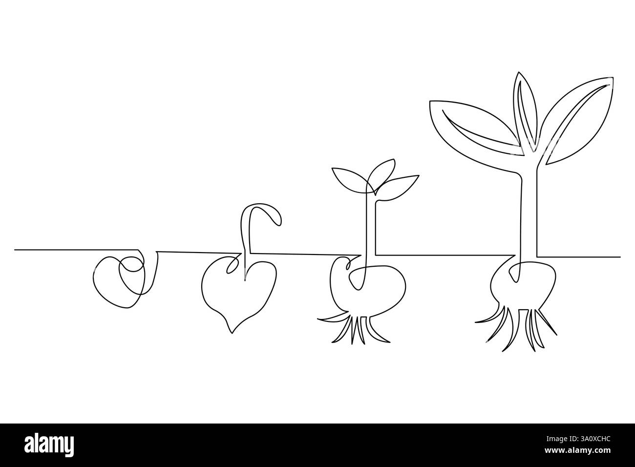 Growth plant tree drawing single line art from line vector art isolated ...