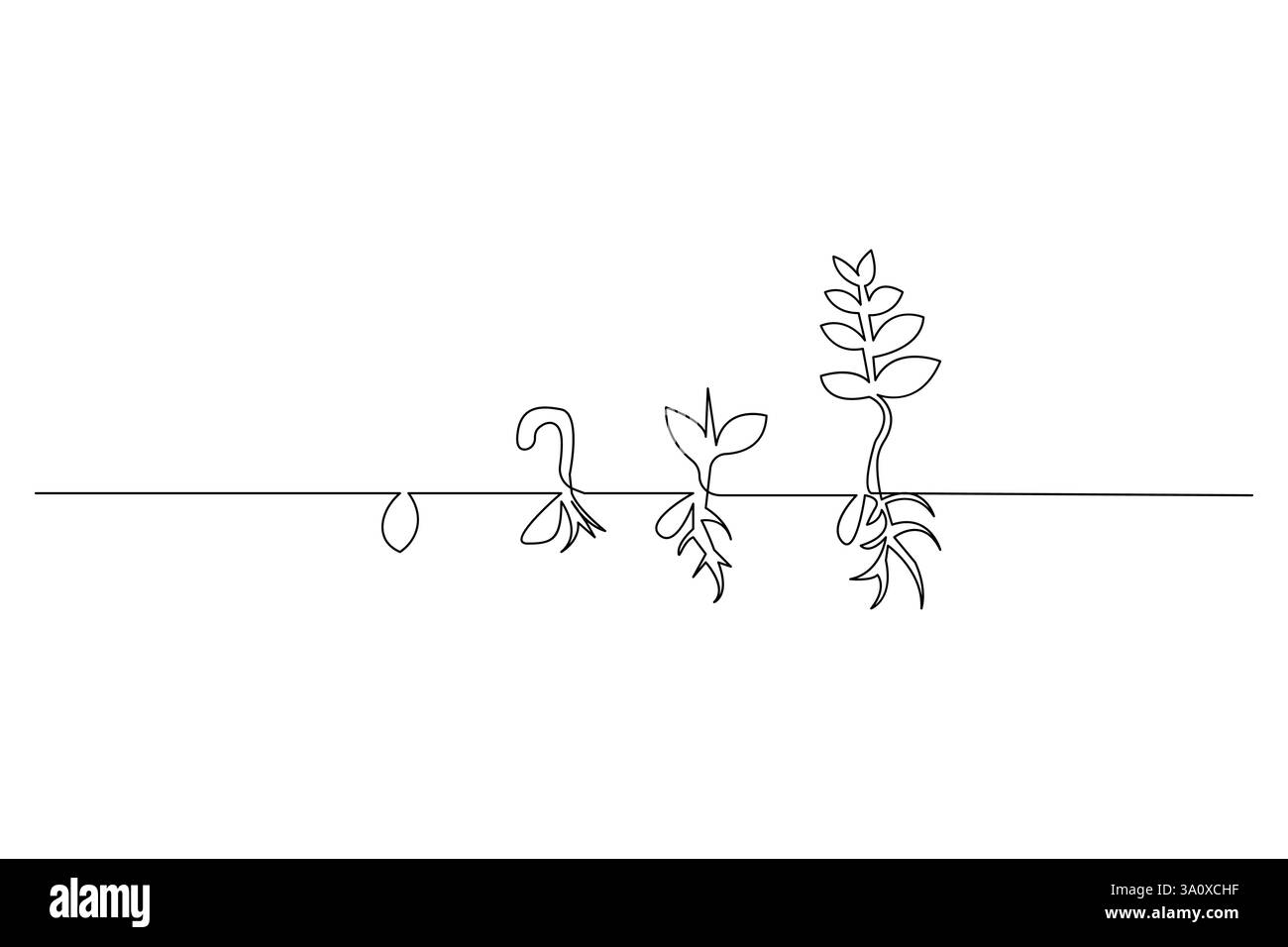 Growth plant tree drawing single line art from line vector art isolated ...