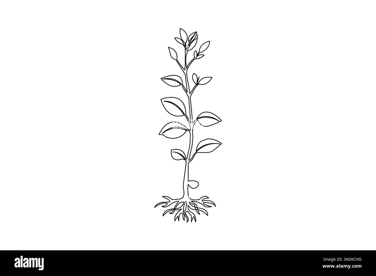 Growth plant tree drawing single line art from line vector art isolated ...