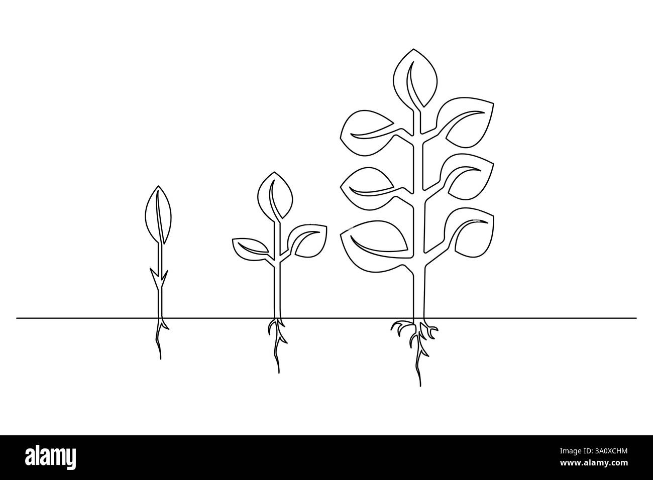 Growth plant tree drawing single line art from line vector art isolated ...