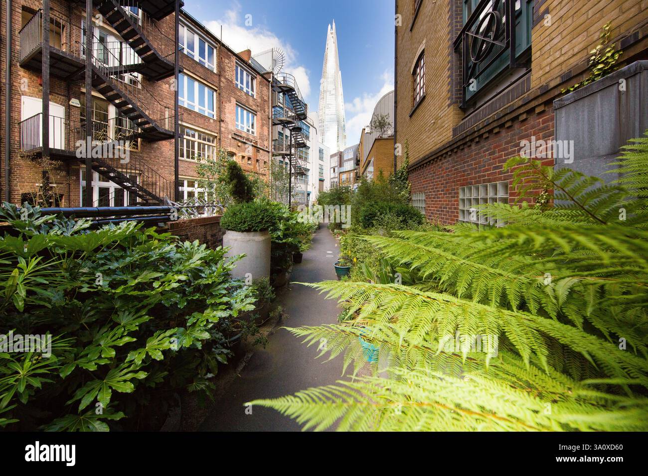 Gibbon's Rent Secret Garden by Team London Bridge working with The ...