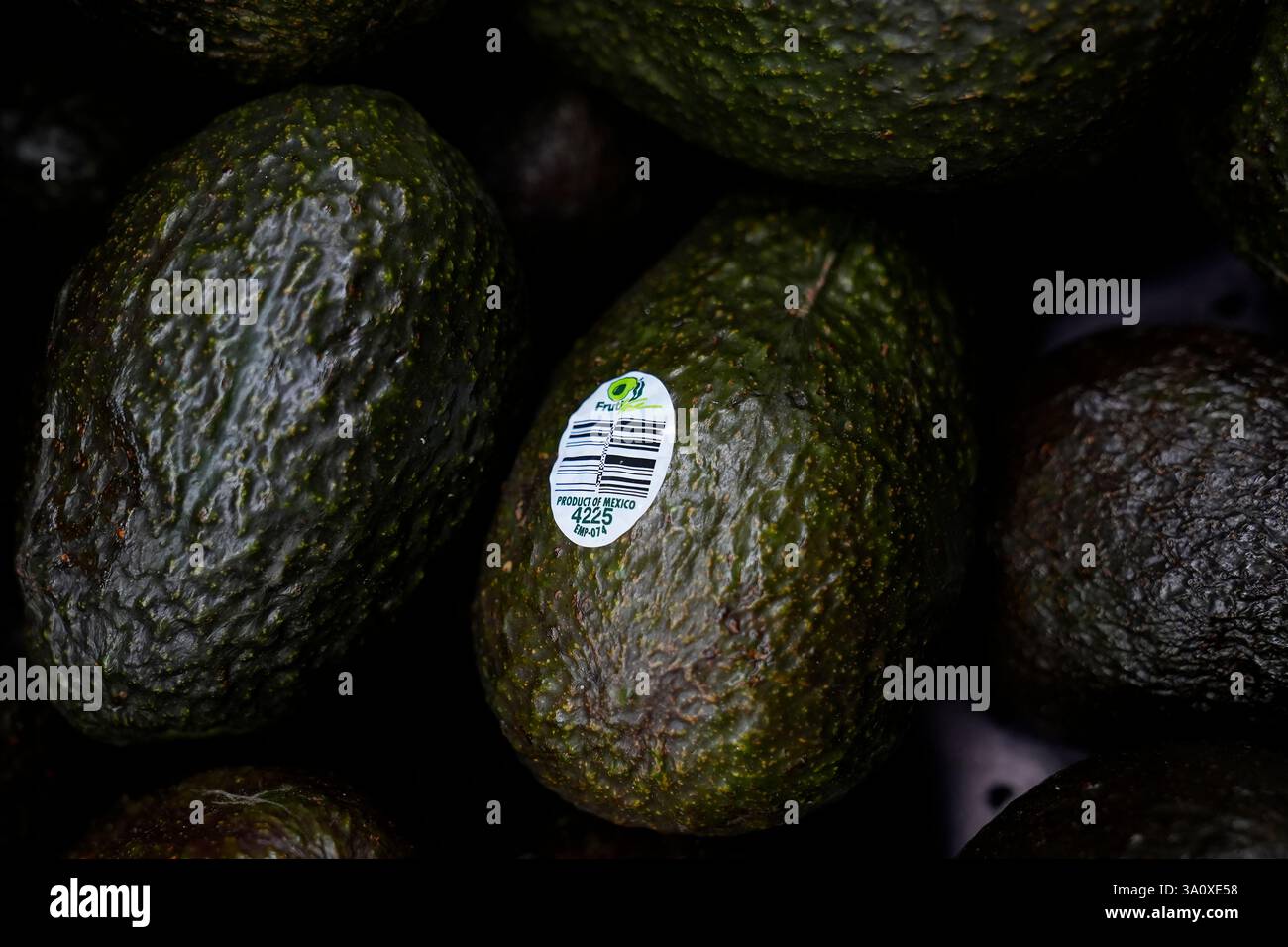 Avocados imported from Mexico for sale are displayed at a grocery store ...