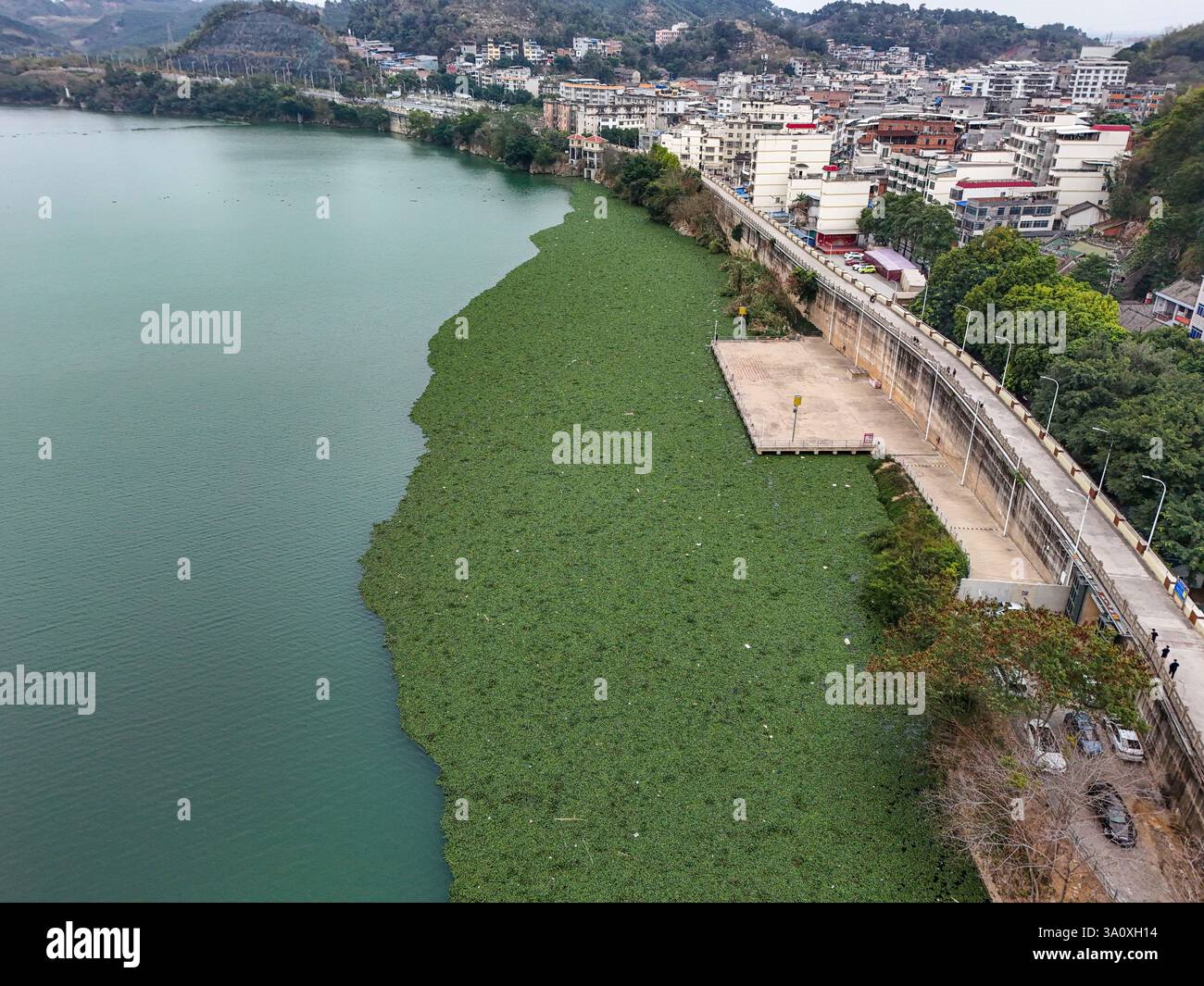 Nanning, China. 06th Mar, 2025. NANJING, CHINA - MARCH 5, 2025 - A ...