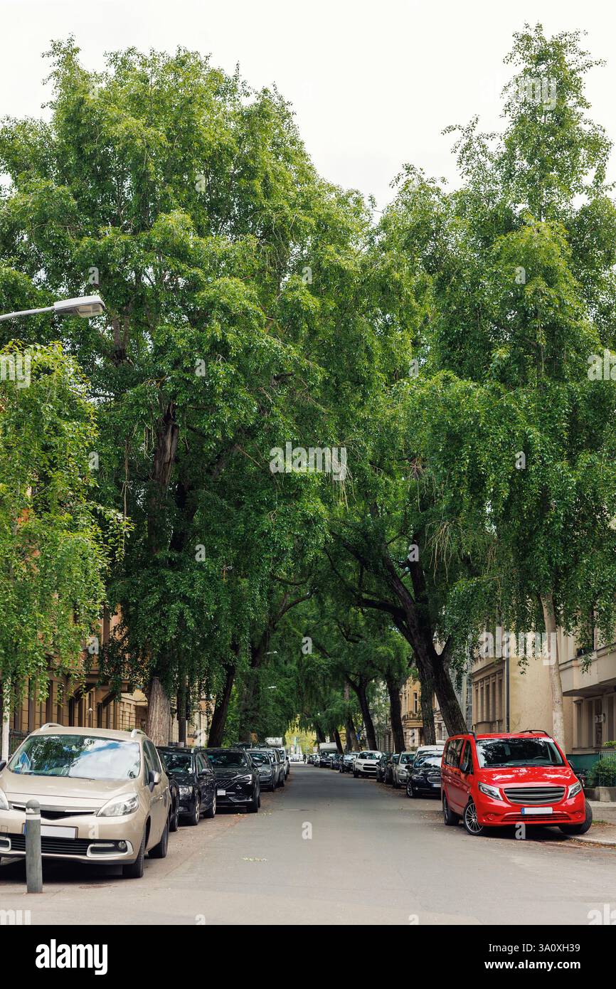 Charming Potsdam street displays leafy canopy and parked cars under ...