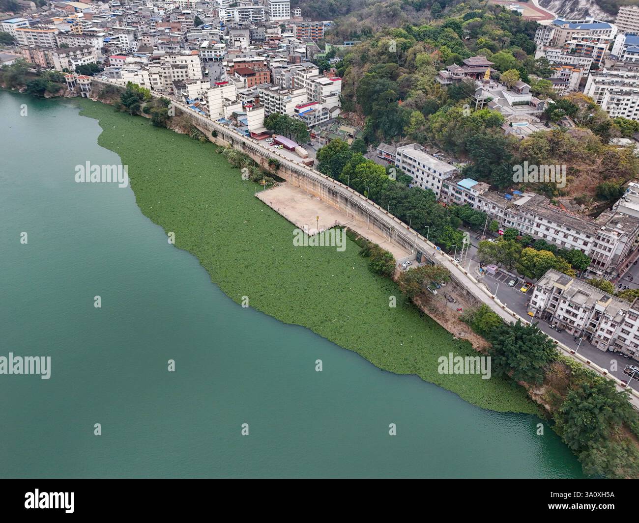 Nanning, China. 06th Mar, 2025. NANJING, CHINA - MARCH 5, 2025 - A ...