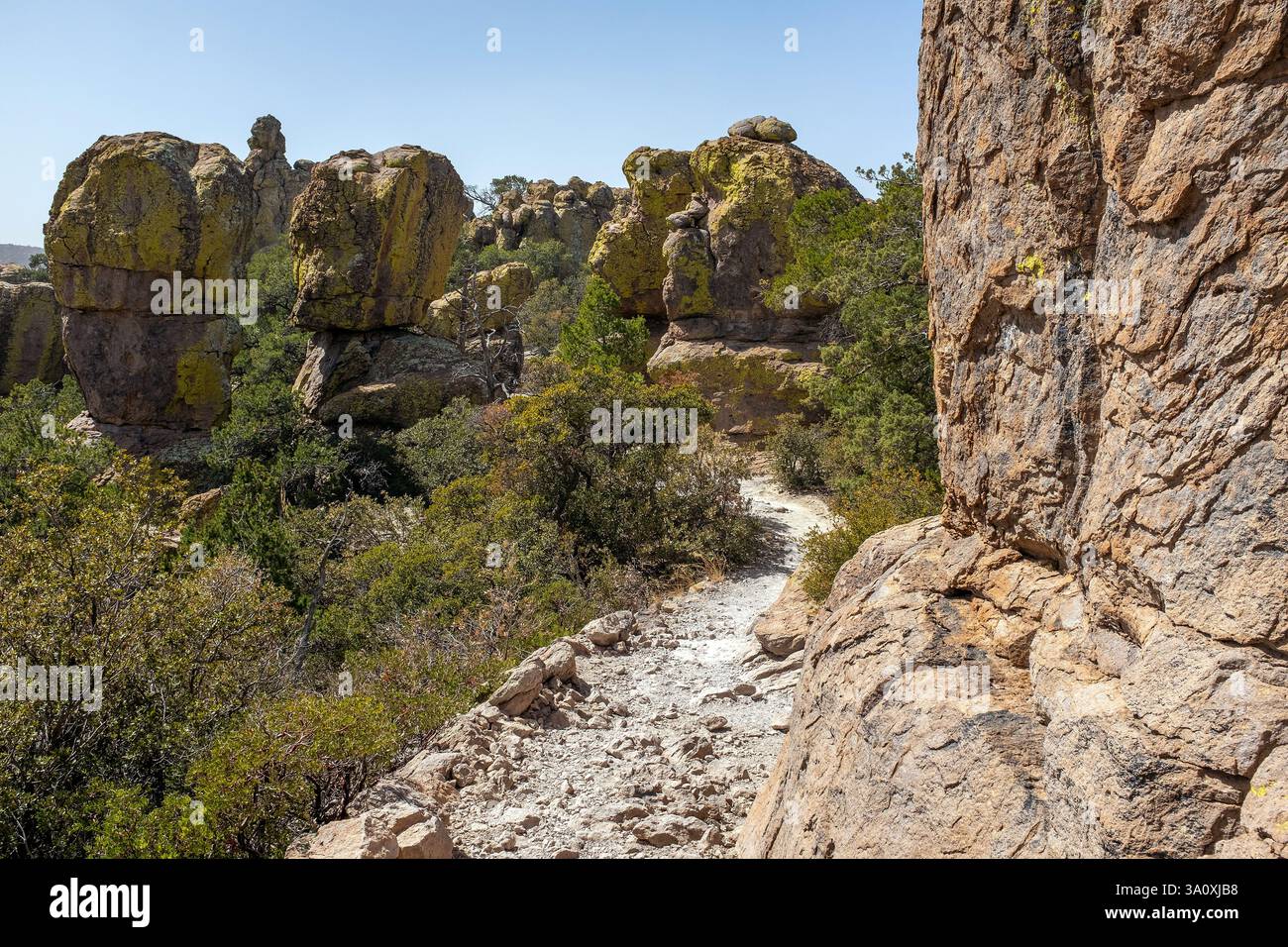 February 27, 2025: 'The Land of Standing Rocks' is how the Chiricahua ...