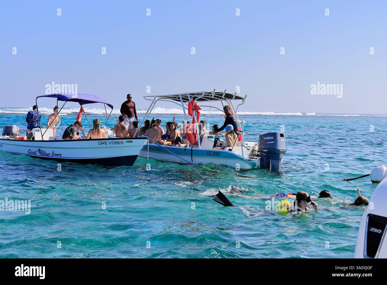 Tour boat carrying snorkelers with snorkelers in the water of Hol Chan ...