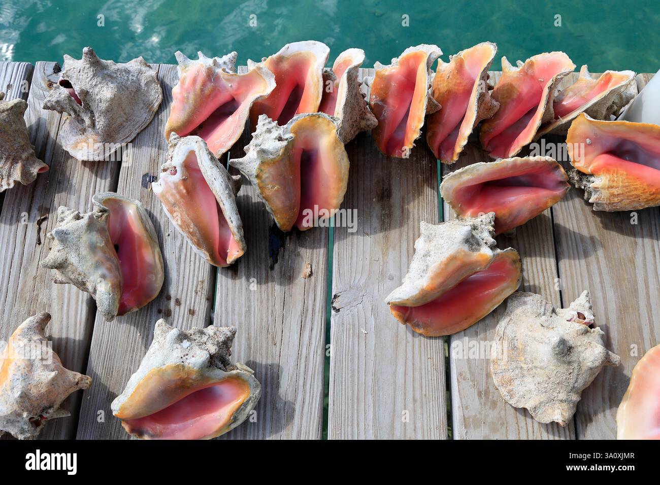 Colorful sea shells for sale on Secret Beach, a popular seaside ...