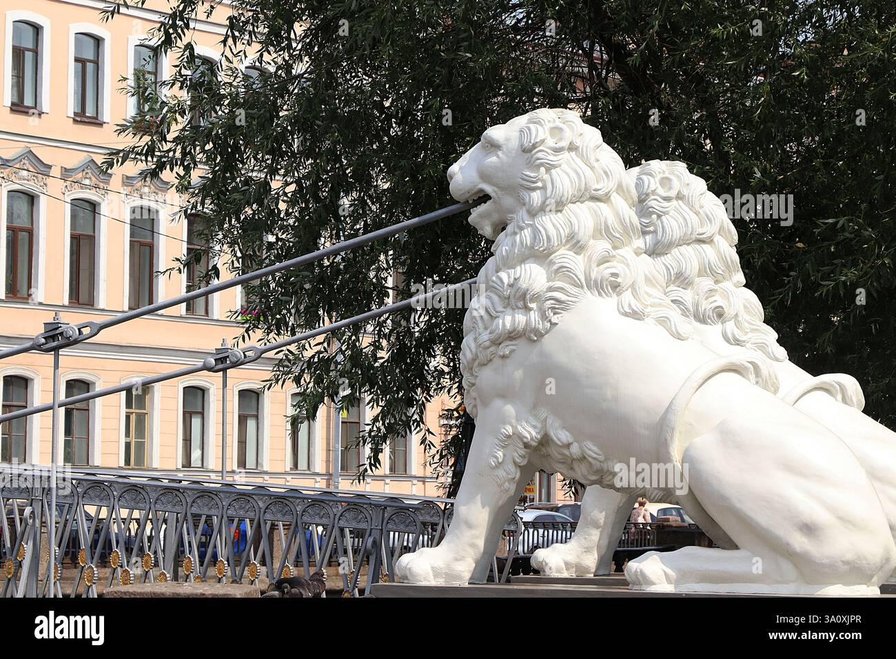 Russia, St. Petersburg, July 1, 2019. Lions on the Lion Bridge. In the photo Lions on the Lion ...
