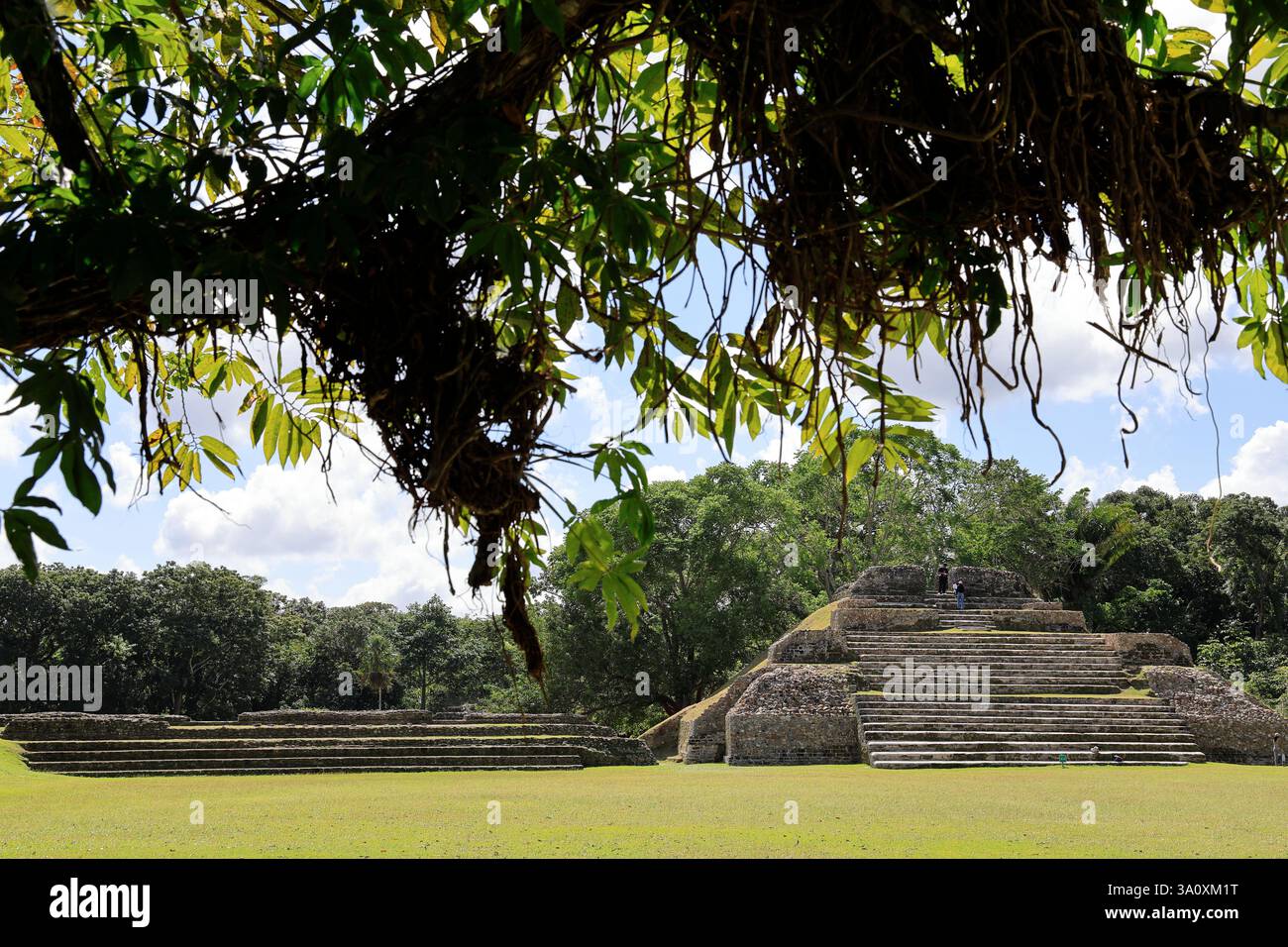 Temples in Altun Ha the ruins of ancient Maya City.Rockstone Pond ...