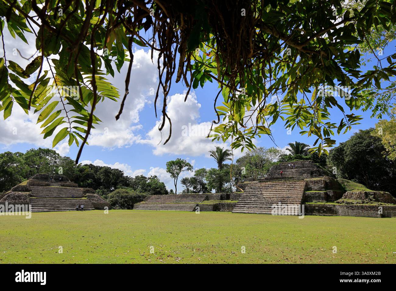 Temples in Altun Ha the ruins of ancient Maya City.Rockstone Pond ...