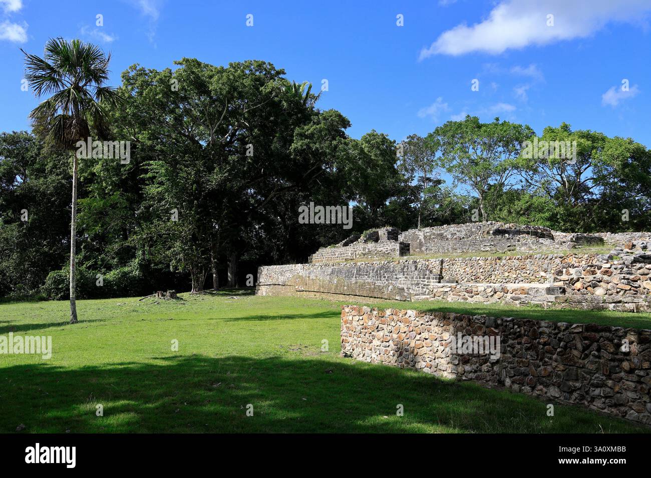 Altun Ha ruins of ancient Maya City.Rockstone Pond.Belize District ...