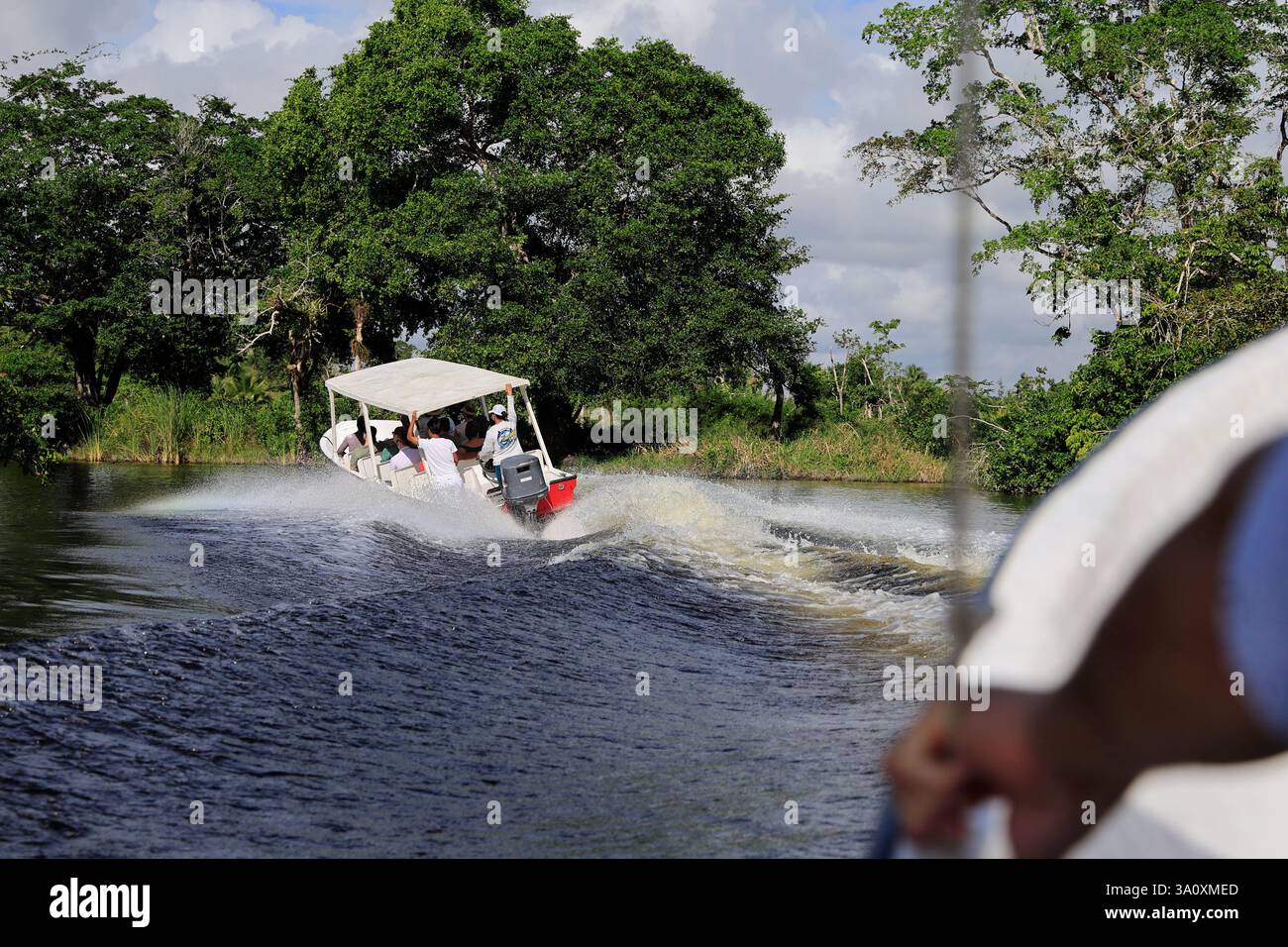 Boat ride in New River leads to Lamanai Archaeologic Site.Orange Walk ...