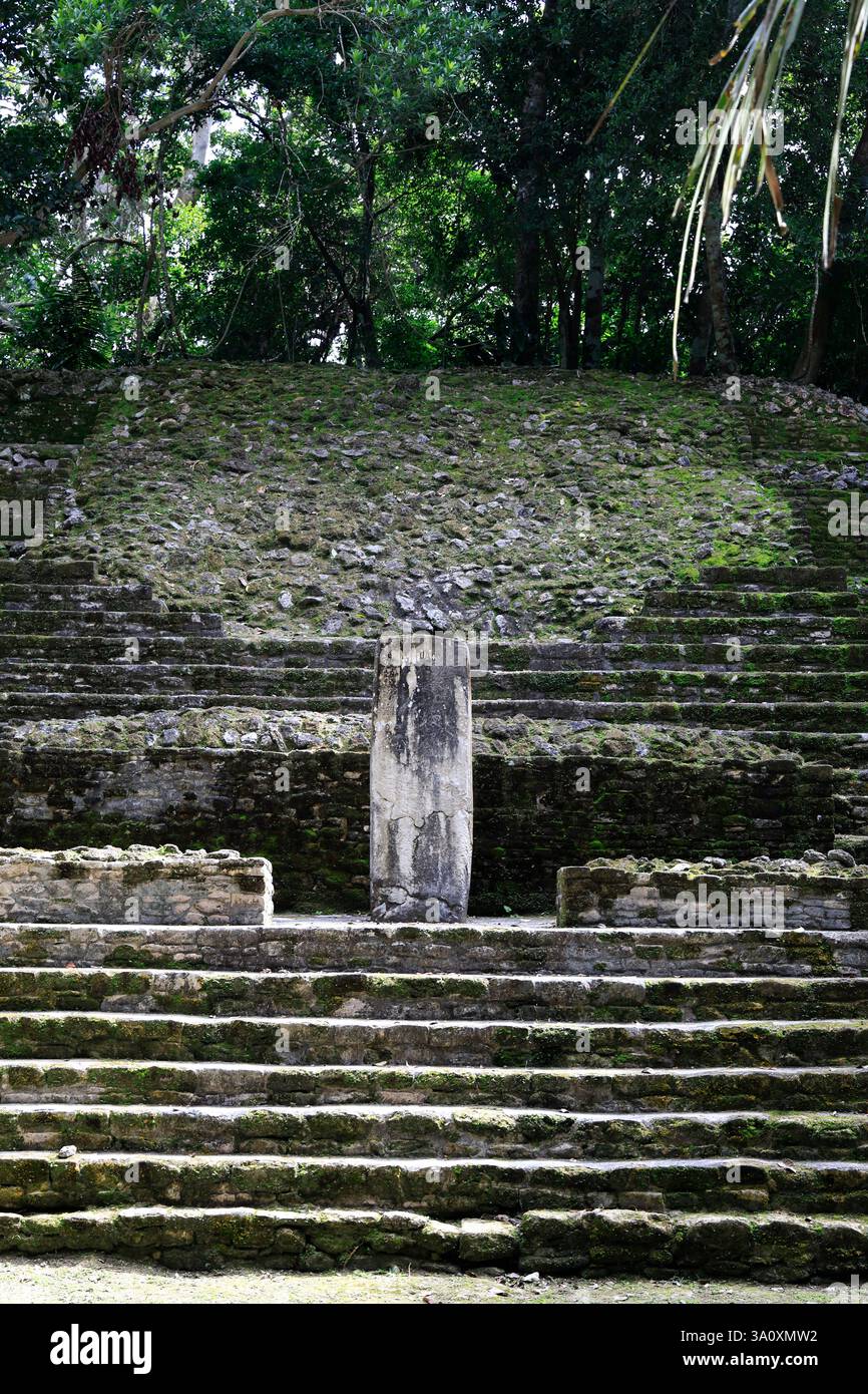 Stela Temple aka Stela 9 Temple in archaeological site of Lamanai ...