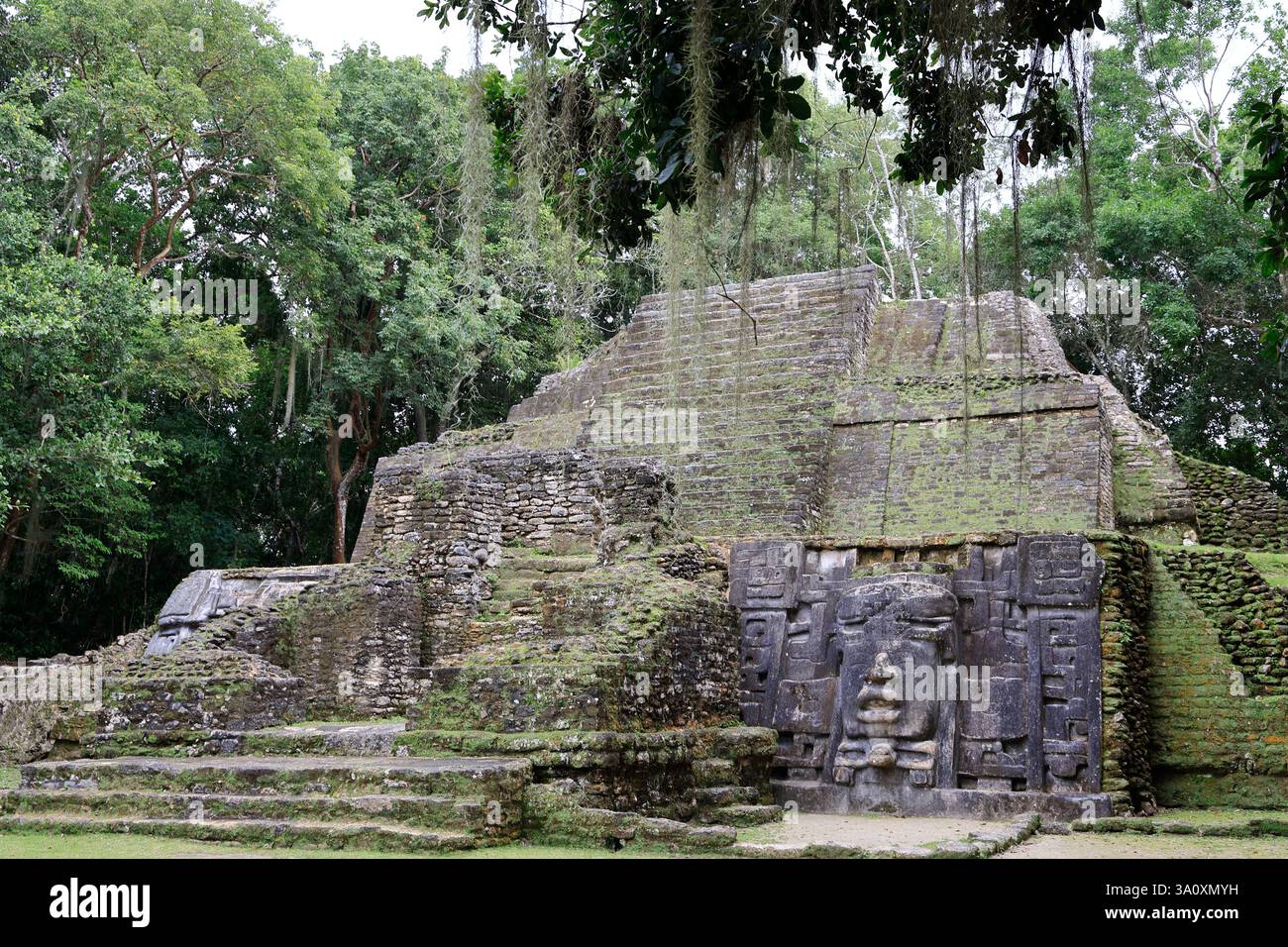Mask Temple in Mayan archaeological site of Lamanai.Orange Walk ...