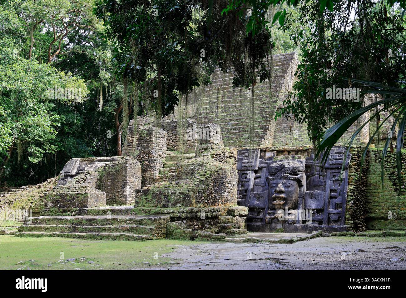 Mask Temple in Mayan archaeological site of Lamanai.Orange Walk ...