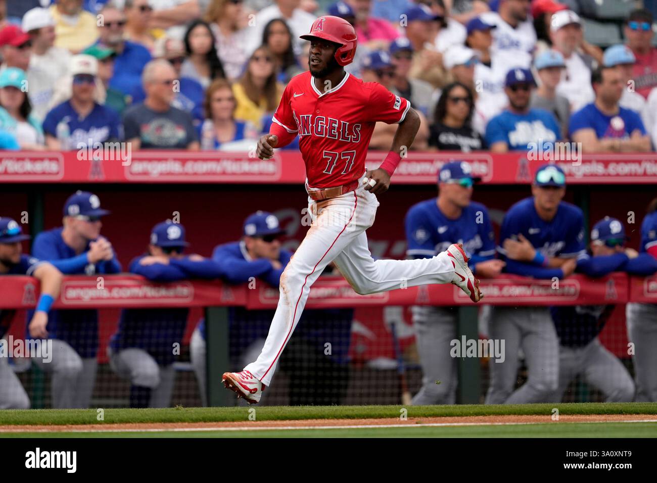 Los Angeles Angels' Tim Anderson scores on a base hit by Mickey Moniak ...