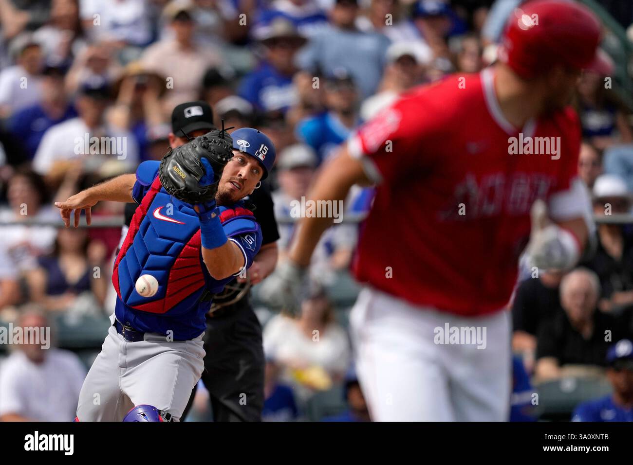 Los Angeles Dodgers' Austin Barnes can't catch a pop-up hit by Los ...