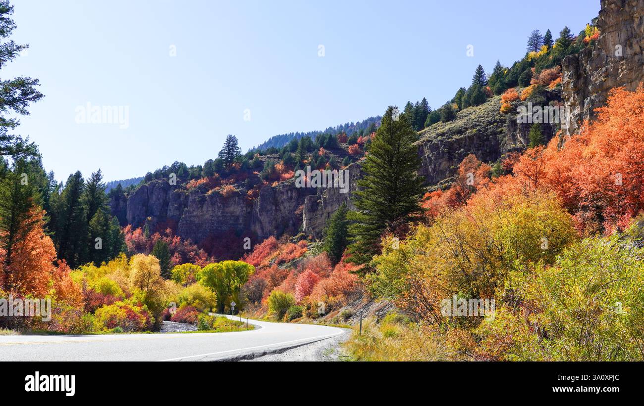 Uinta wasatch cache national forest hi-res stock photography and images ...
