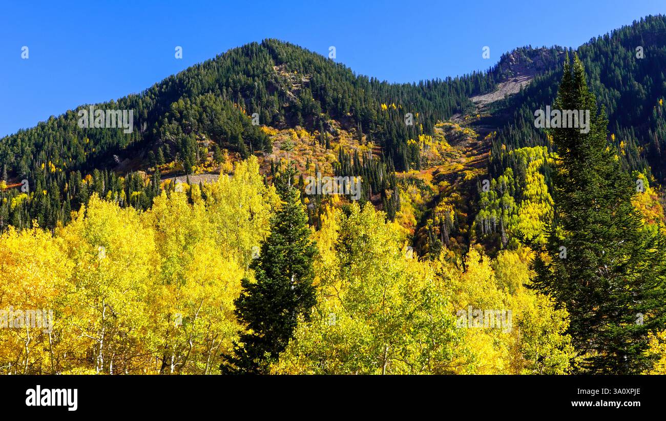 Uinta wasatch cache national forest hi-res stock photography and images ...