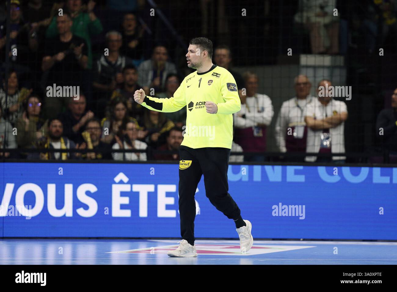 Ivan PESIC of HBC Nantes during the EHF Champions League, Group Phase ...