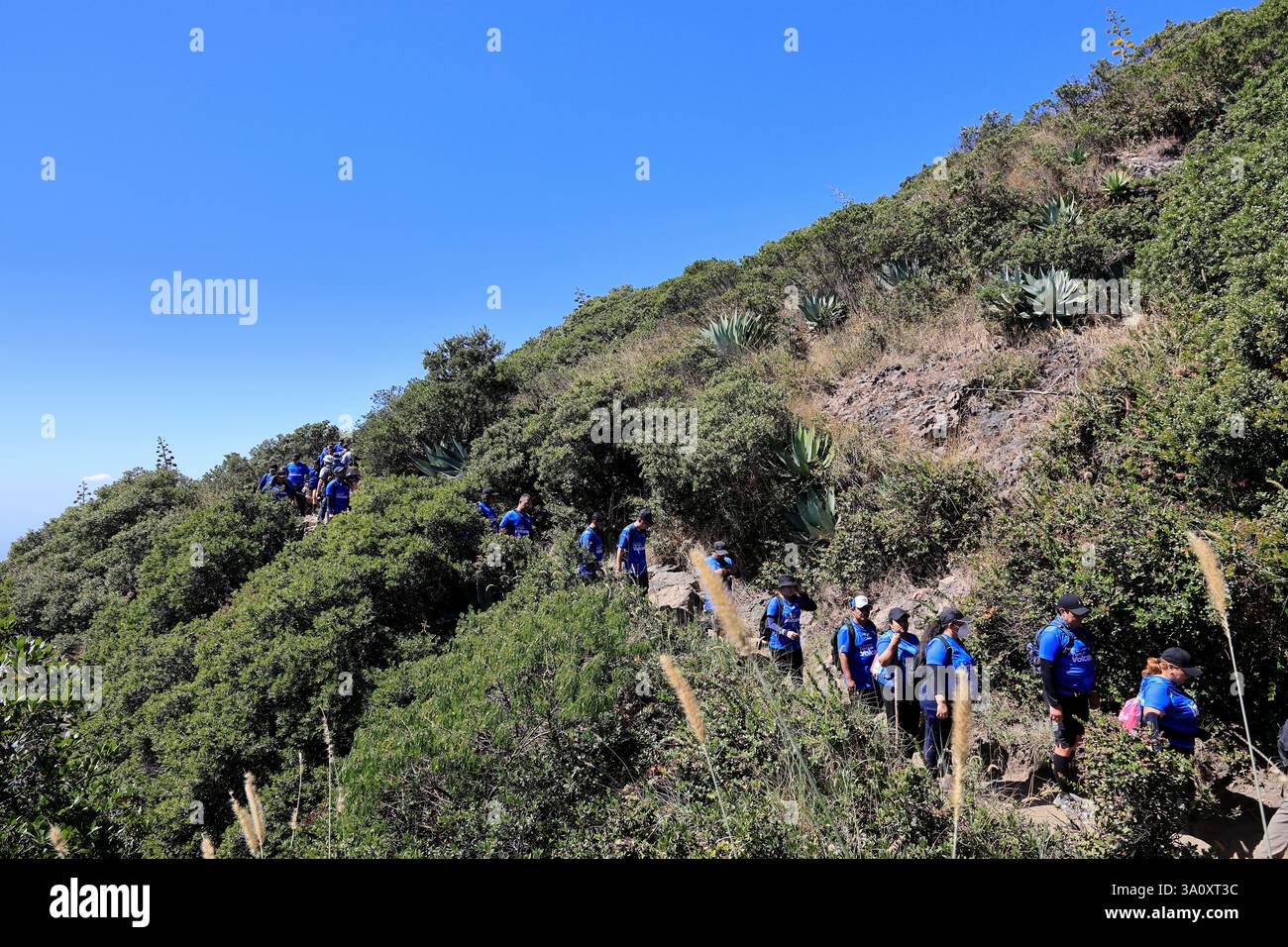 Visitors climbing the Santa Ana Volcano the highest and active volcano ...