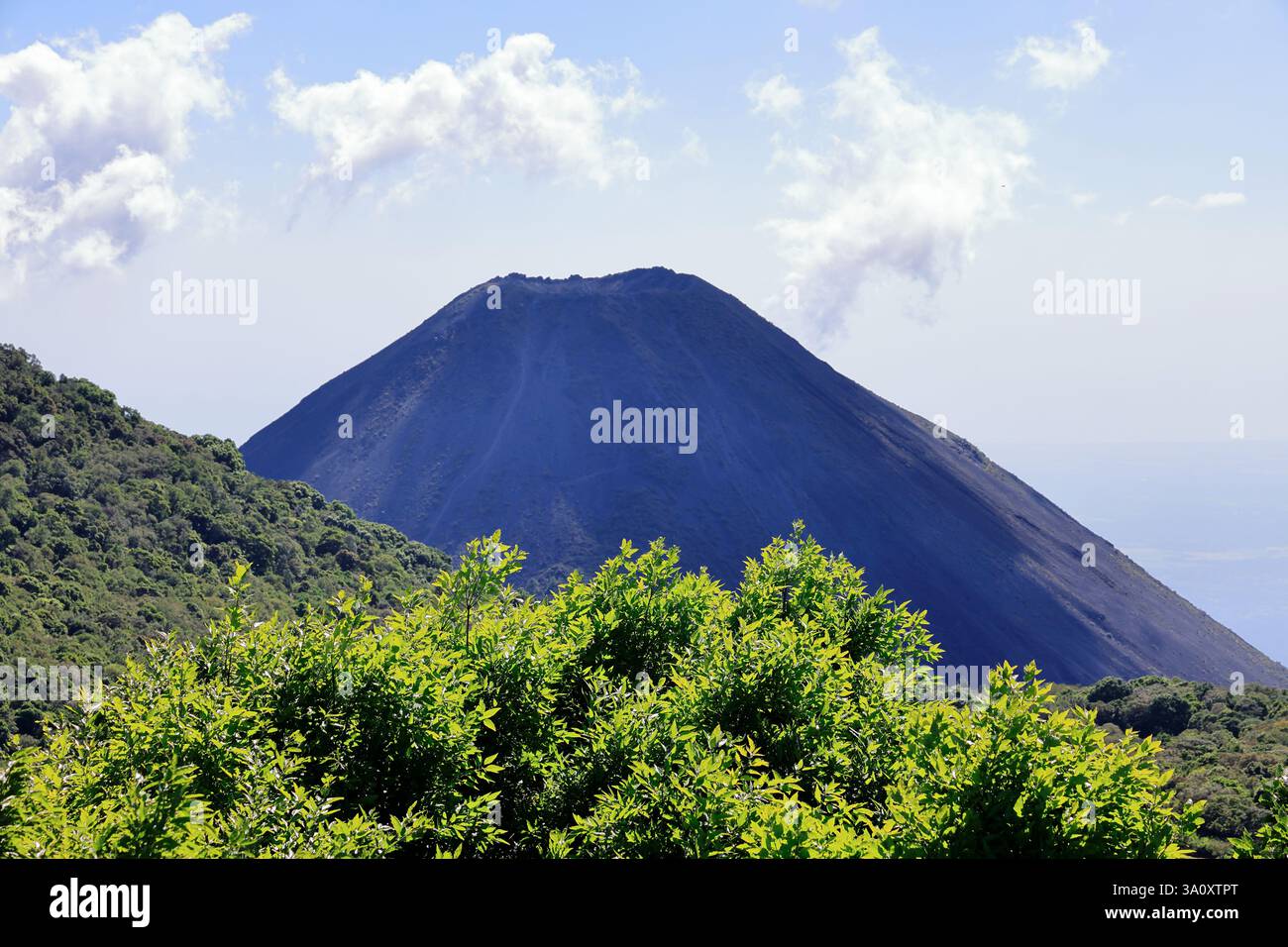The view of active Izalco Volcano from Santa Ana Volcano. Cerro Verde ...