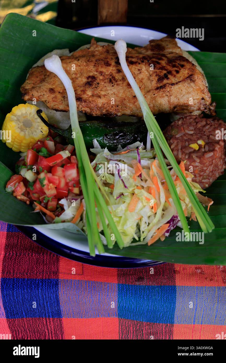 A closed up view of grilled chicken dish (pollo asado) a typical local ...