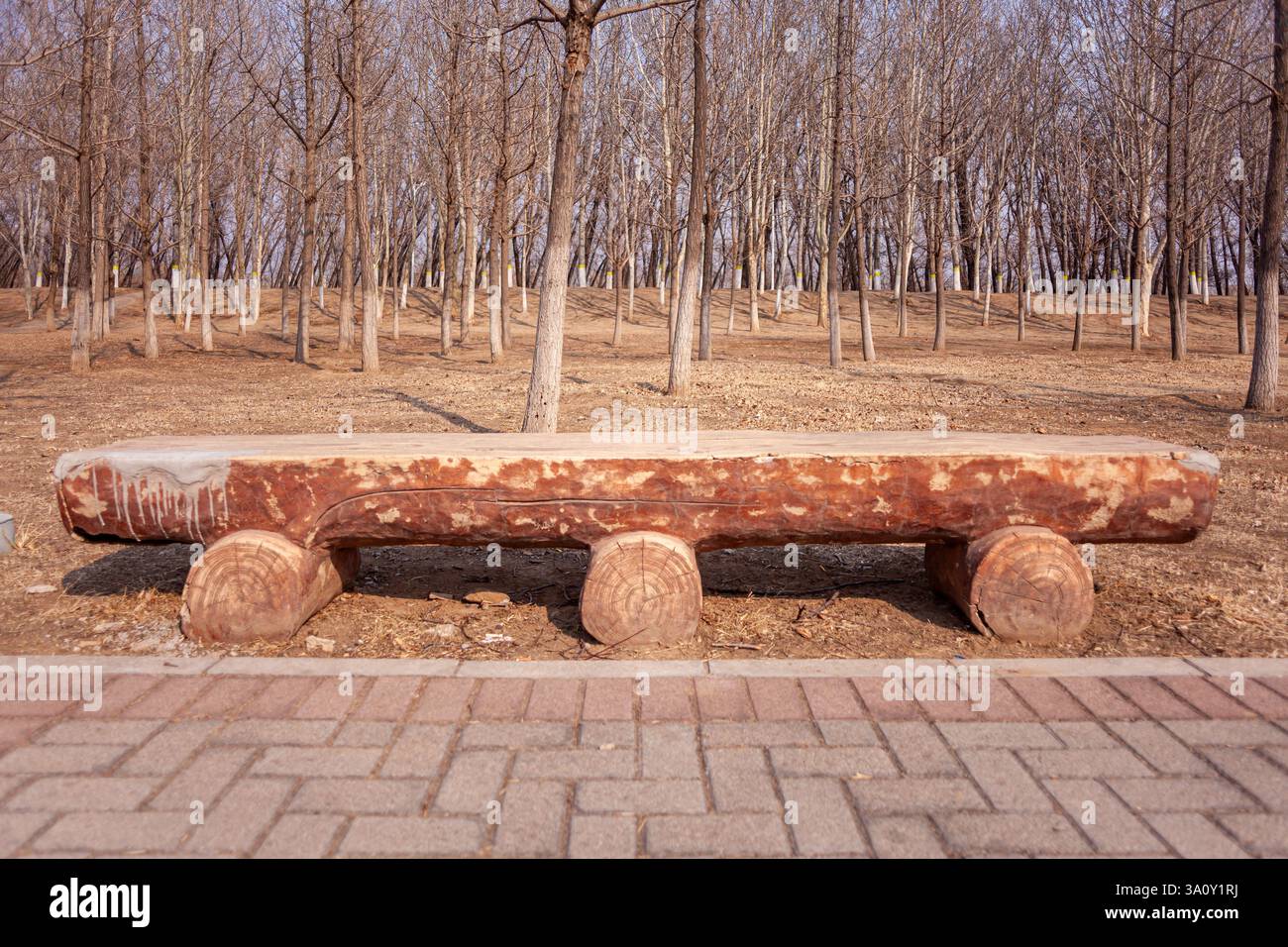 Unique park benches Stock Photo - Alamy