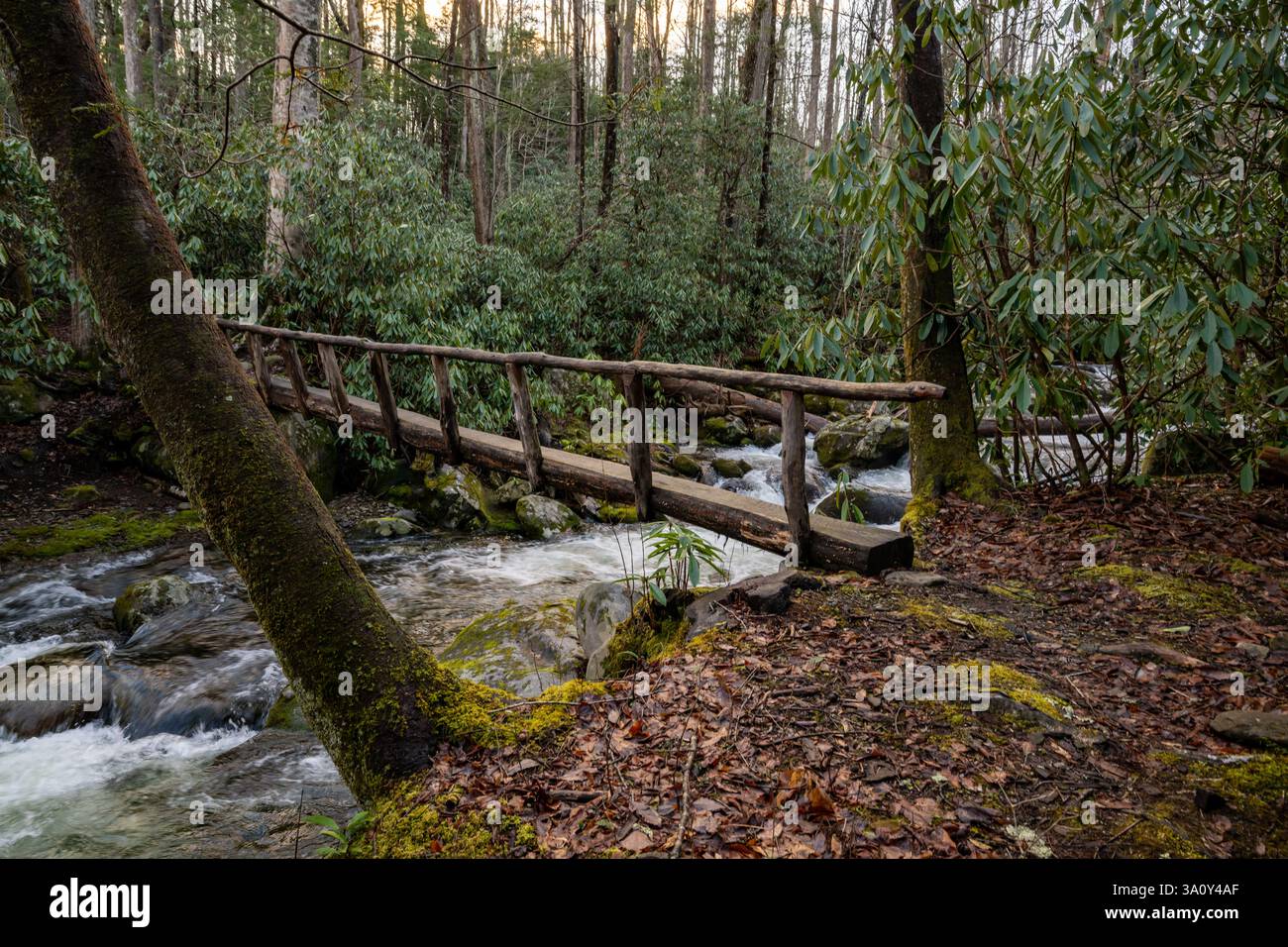 Footbridge Over Rushing Water in Creek in the Smokies on the Old ...
