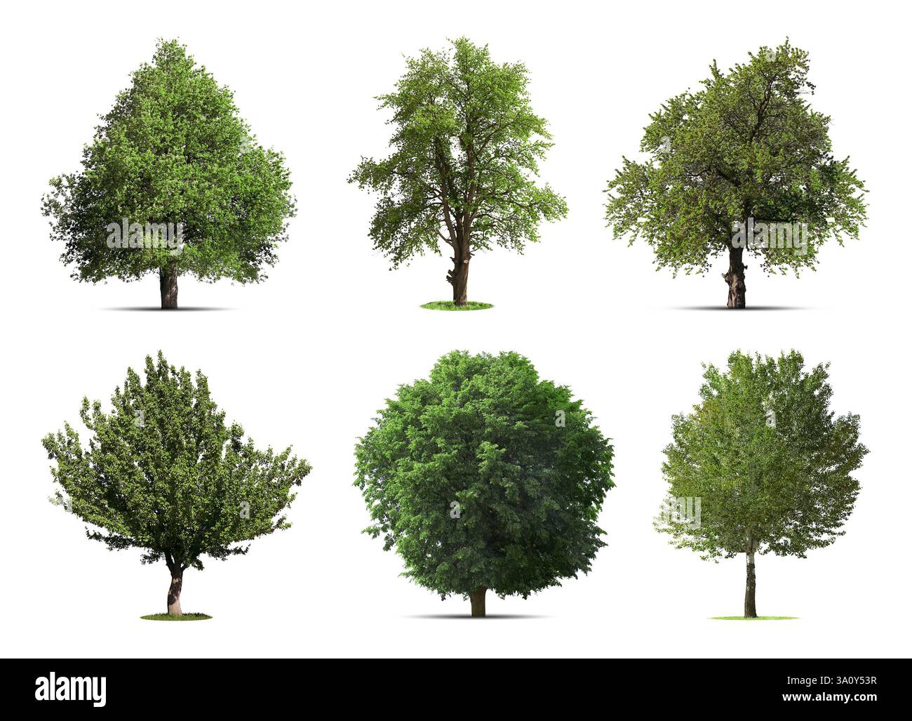 Set different forest Cut Out Stock Images & Pictures - Alamy