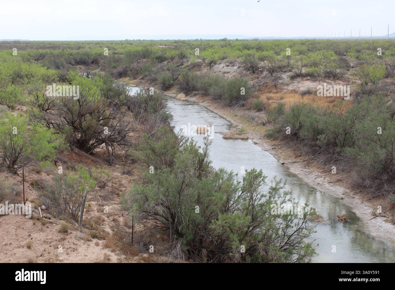 Pecos River in West Texas with Honey Mesquite trees on an overcast day ...
