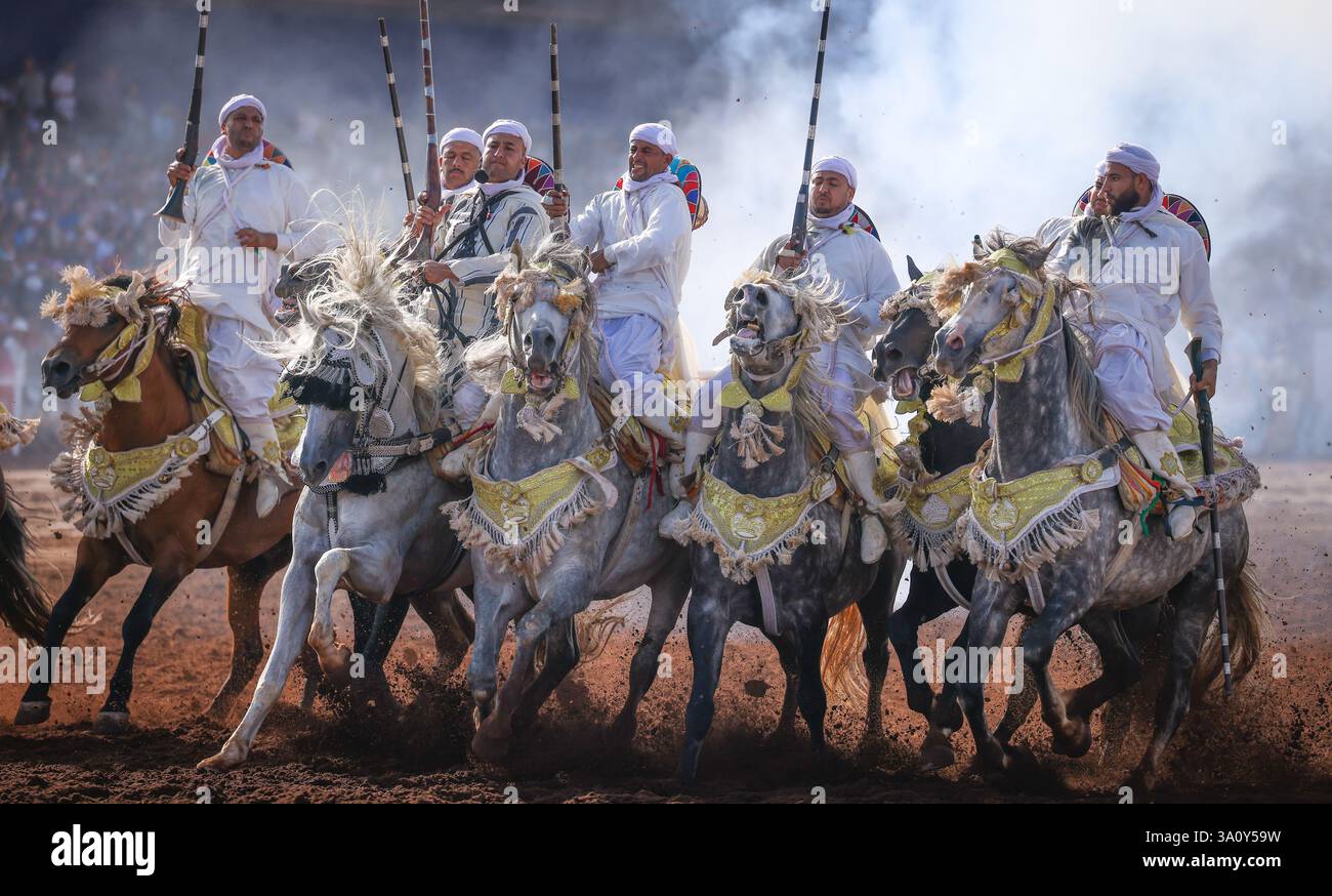 Moroccan Fantasia, also known as "Tbourida" or "La course aux poudres ...