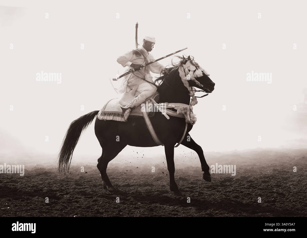 Moroccan Fantasia, also known as "Tbourida" or "La course aux poudres ...