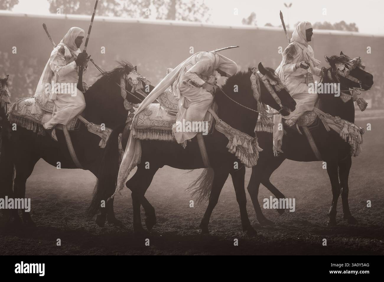 Moroccan Fantasia, also known as "Tbourida" or "La course aux poudres ...