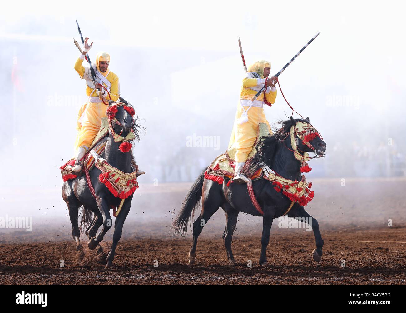 Moroccan Fantasia, also known as "Tbourida" or "La course aux poudres ...