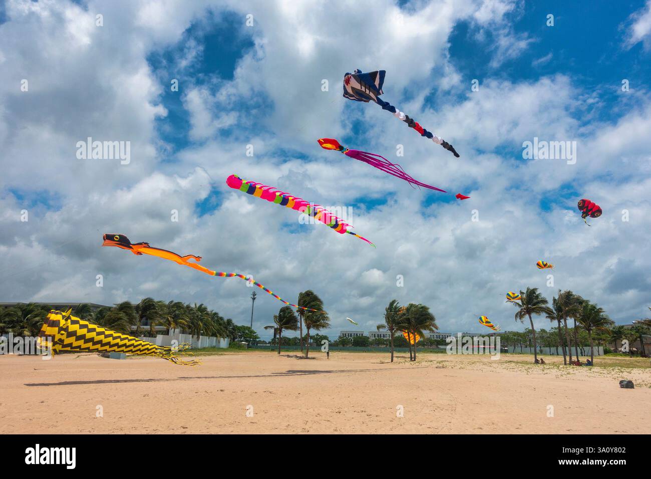 Colorful kites on the beach in Ba Ria - Vung Tau, Vietnam Stock Photo ...