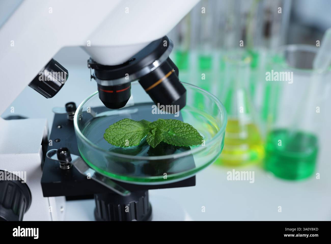 Biochemistry. Microscope with plant in Petri dish on white table in ...